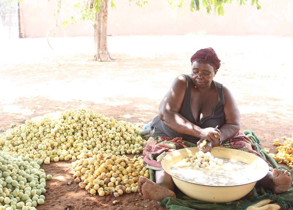 The Marvellous Brewers of Marula Beer | Eco Products