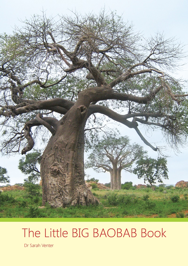 The Little BIG BAOBAB Book COVER | Eco Products